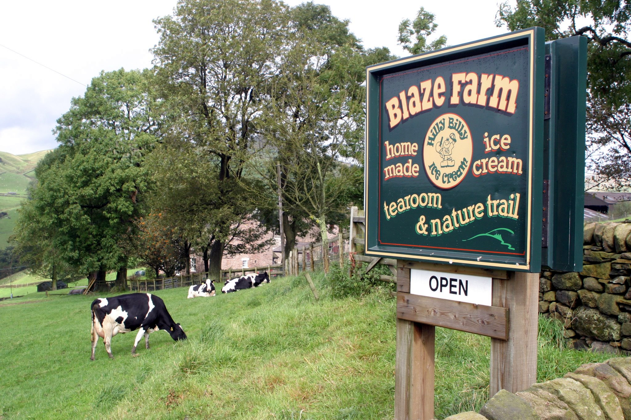 It's beginning to look at lot like Christmas at Blaze Farm - Melted ...